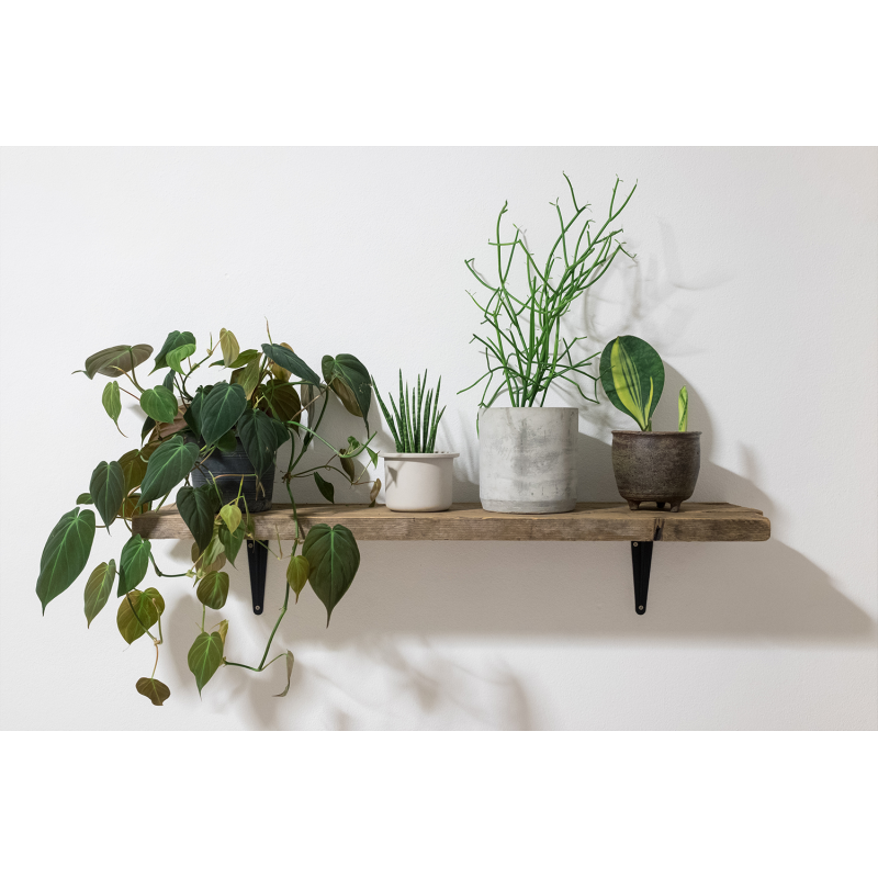 Blister cavity fixing HRM