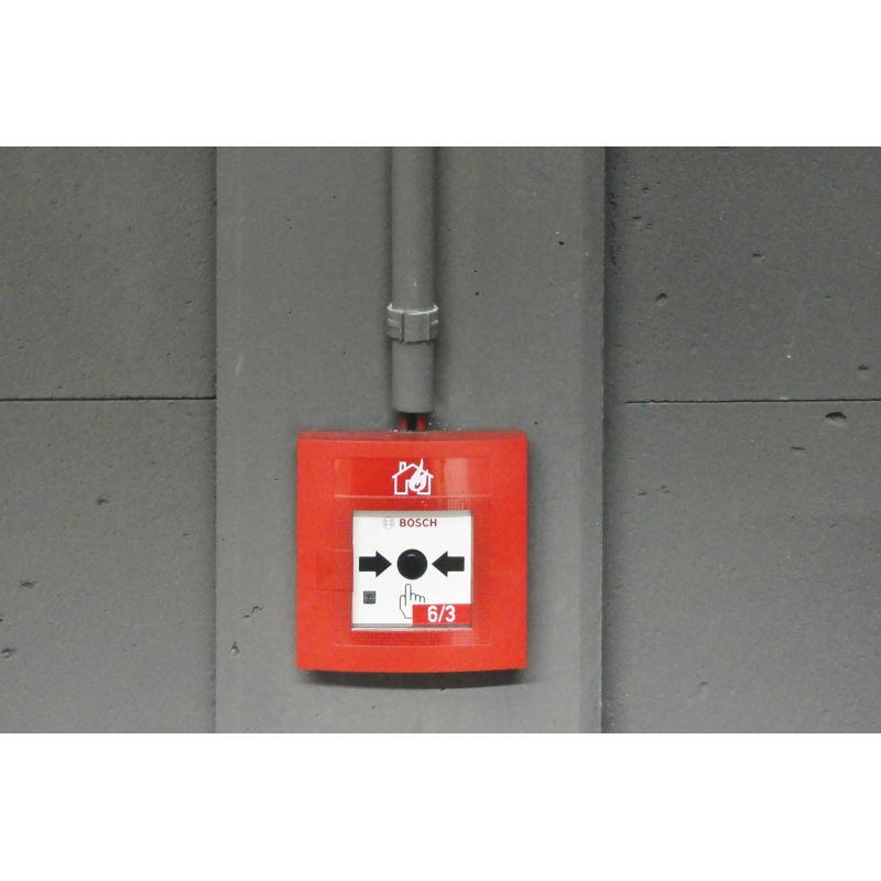 Nail plug flat head NP